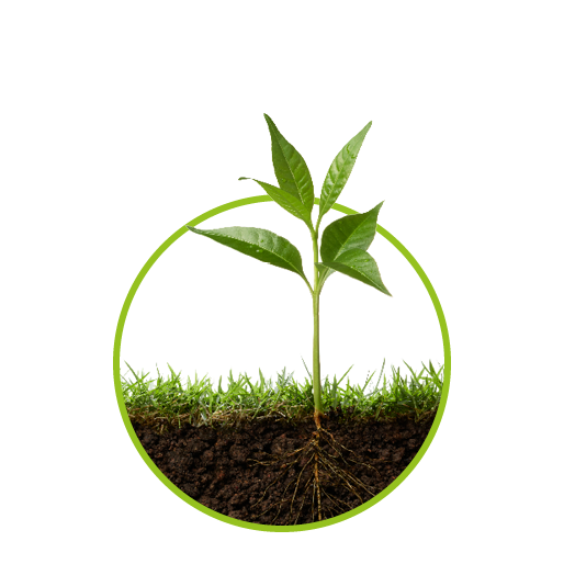 Bodemprocedures – GroenRijk