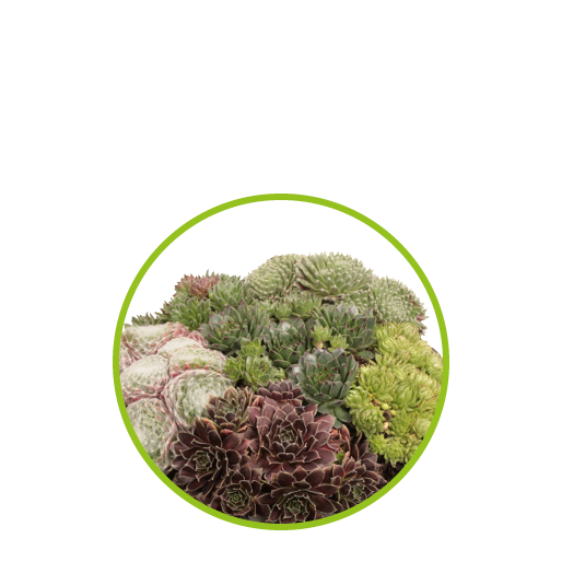 Rotstuin – GroenRijk