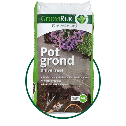 Grondige uitleg: De beste potgrond voor jouw plant – GroenRijk